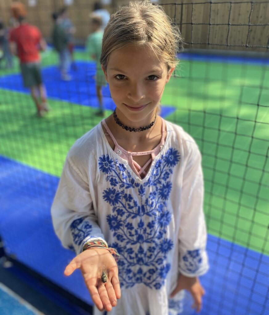 Admissions - The Mabin School